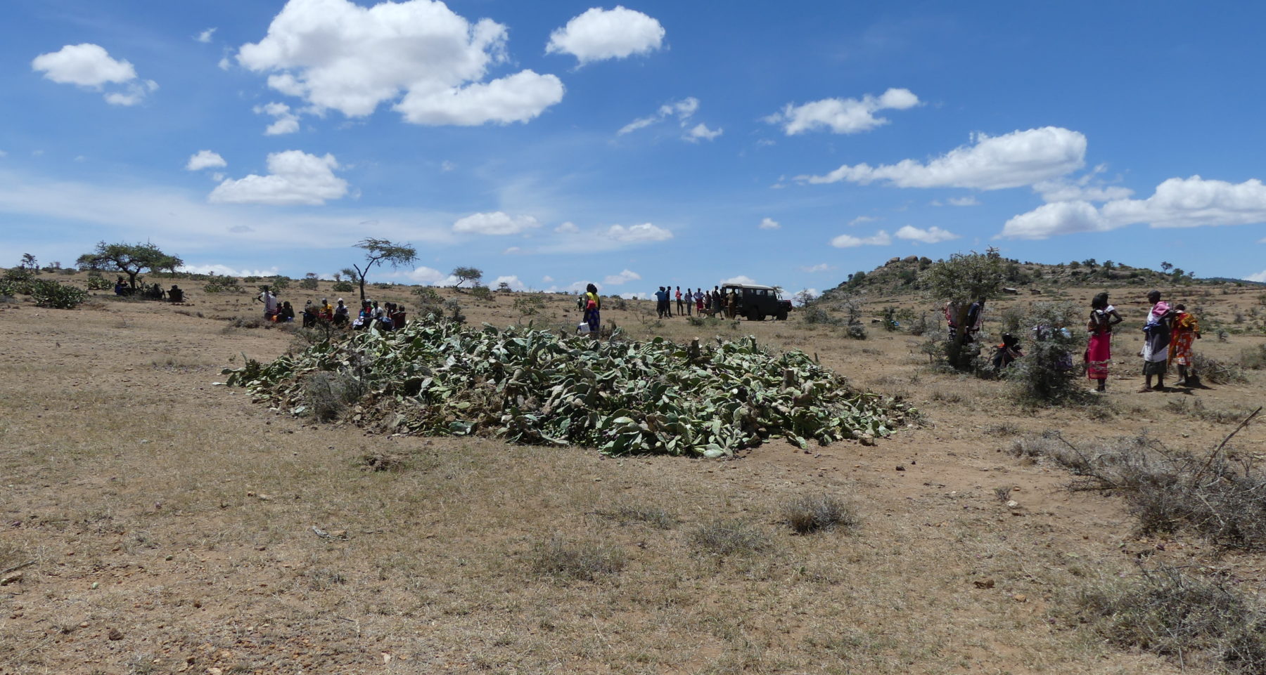 Restoration Resource Center Rangeland Rehabilitation Through Invasive restoration-resource-center-rangeland-rehabilitation-through-invasive